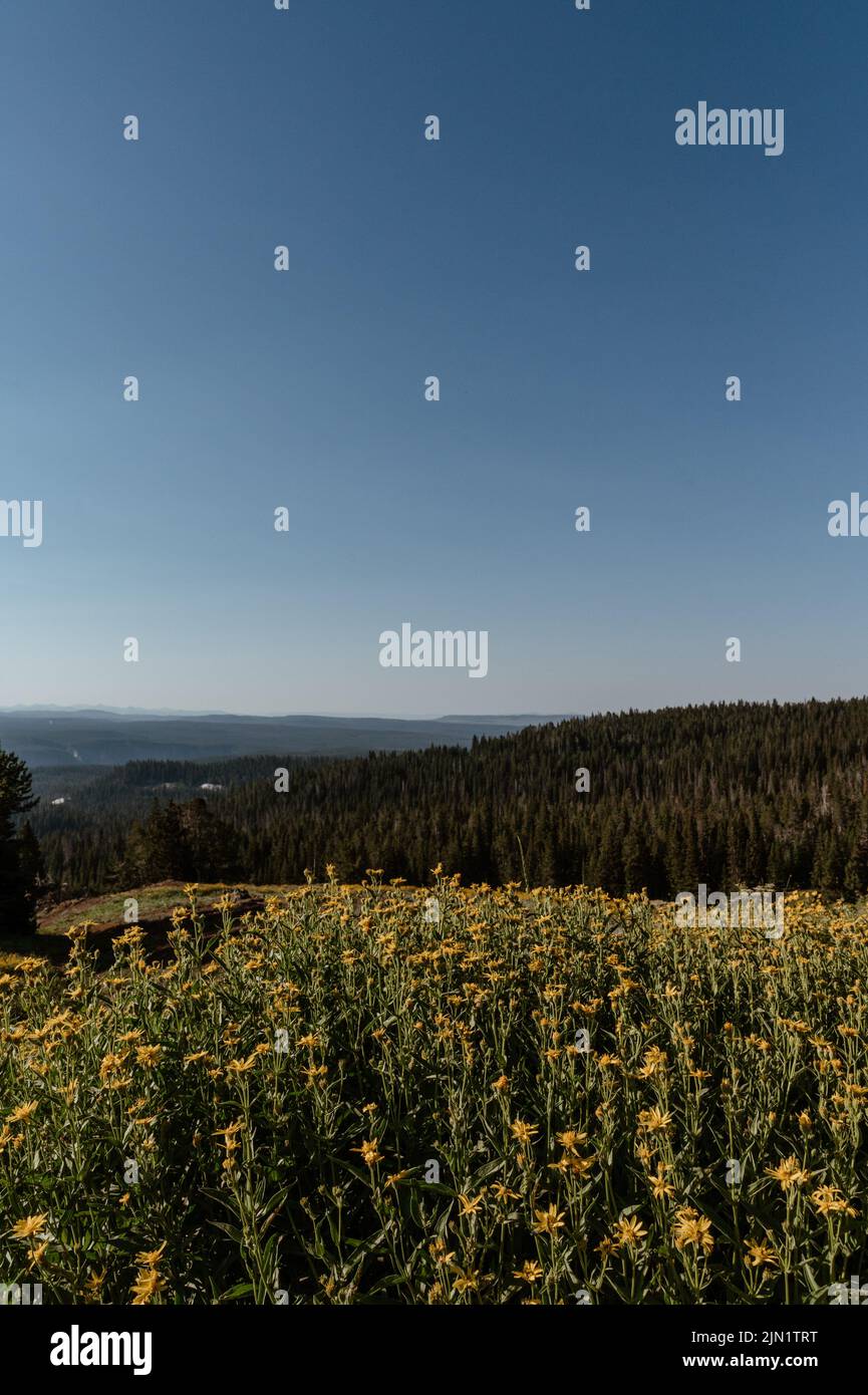 Super loop hi-res stock photography and images - Alamy