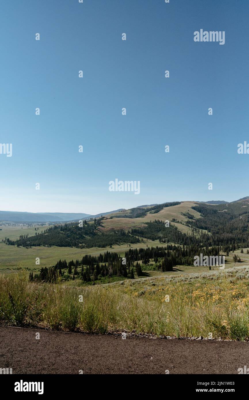 Green park scenery hi-res stock photography and images - Alamy