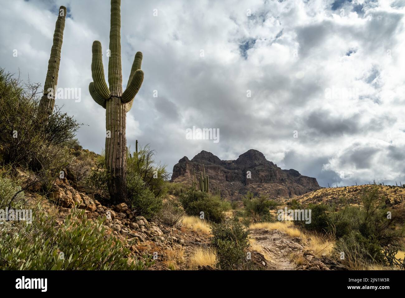 Tonto national park hi-res stock photography and images - Alamy