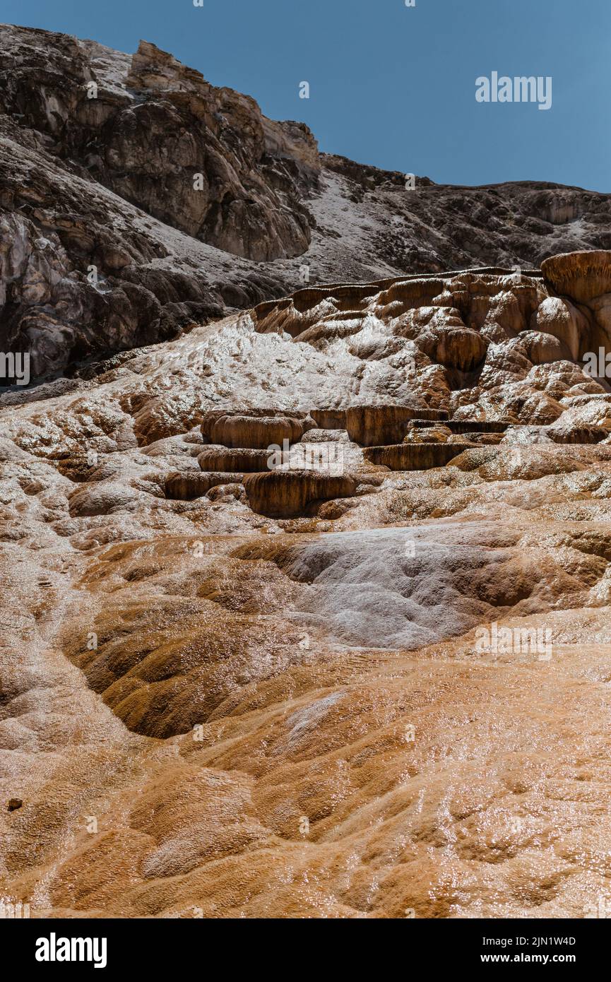 Minerva Terrace at Mammoth Hot Springs in Yellowstone National Park ...