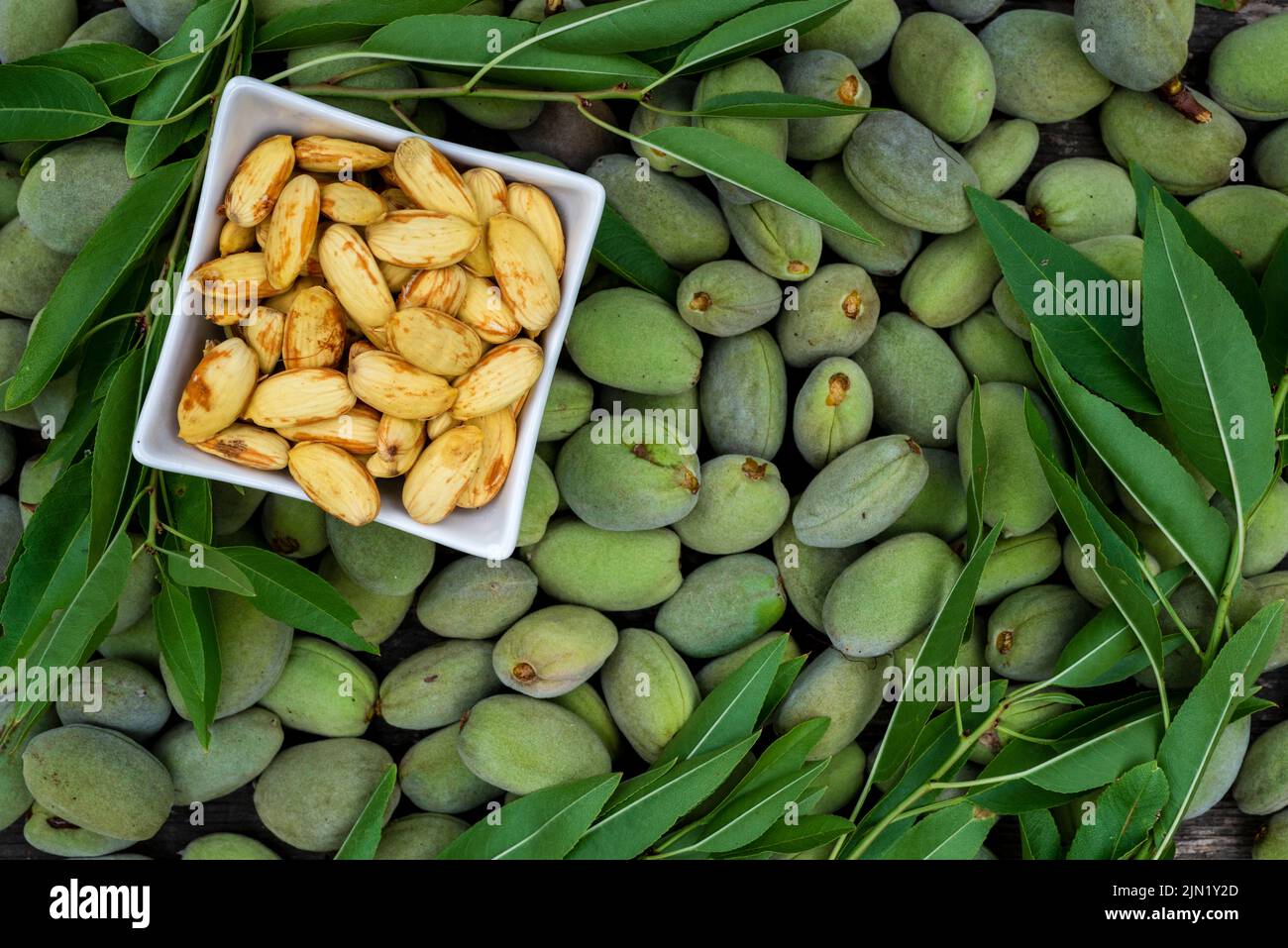 Green almonds open background fresh raw unripe wooden rustic table ...