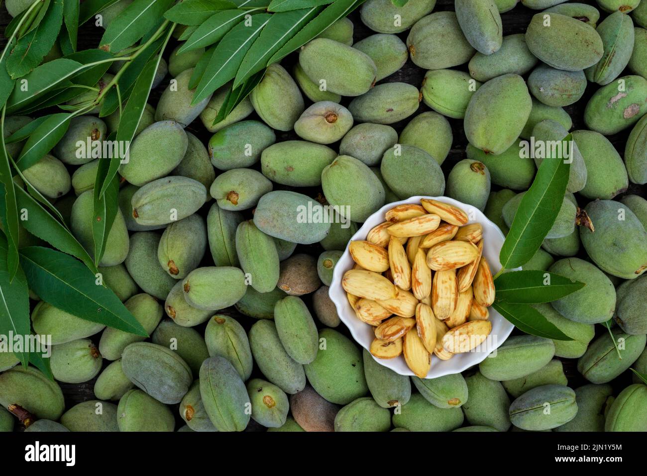 Green almonds background fresh raw unripe wooden rustic table blurred ...