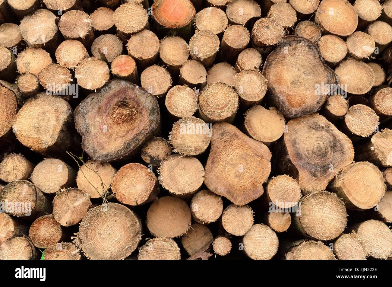 Cross fissures view hi-res stock photography and images - Alamy