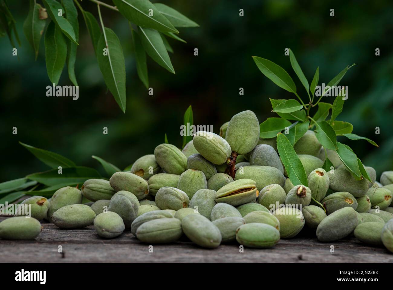 Green almonds background fresh raw unripe wooden rustic table blurred ...