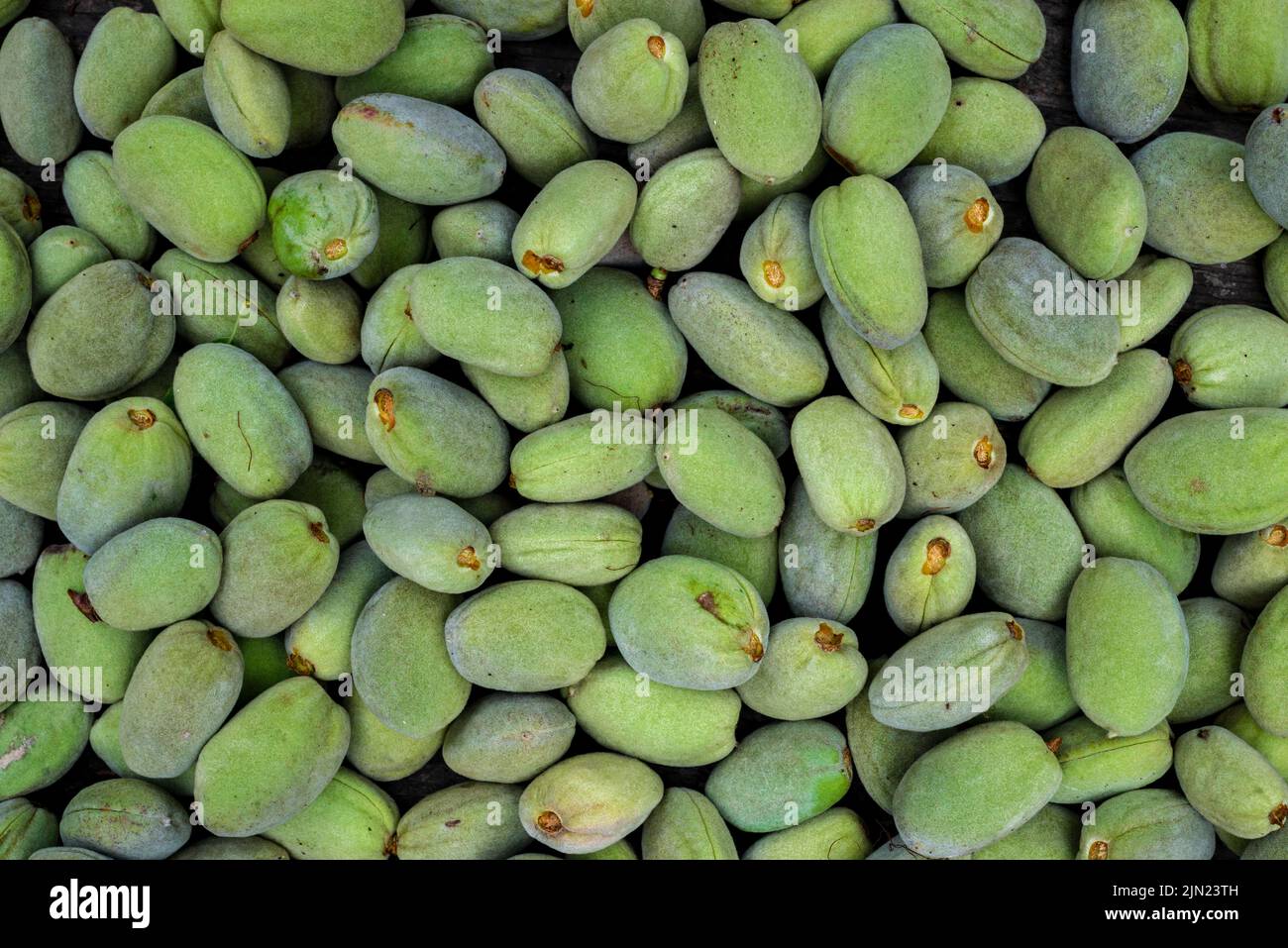 Green almonds background fresh raw unripe wooden rustic table blurred ...
