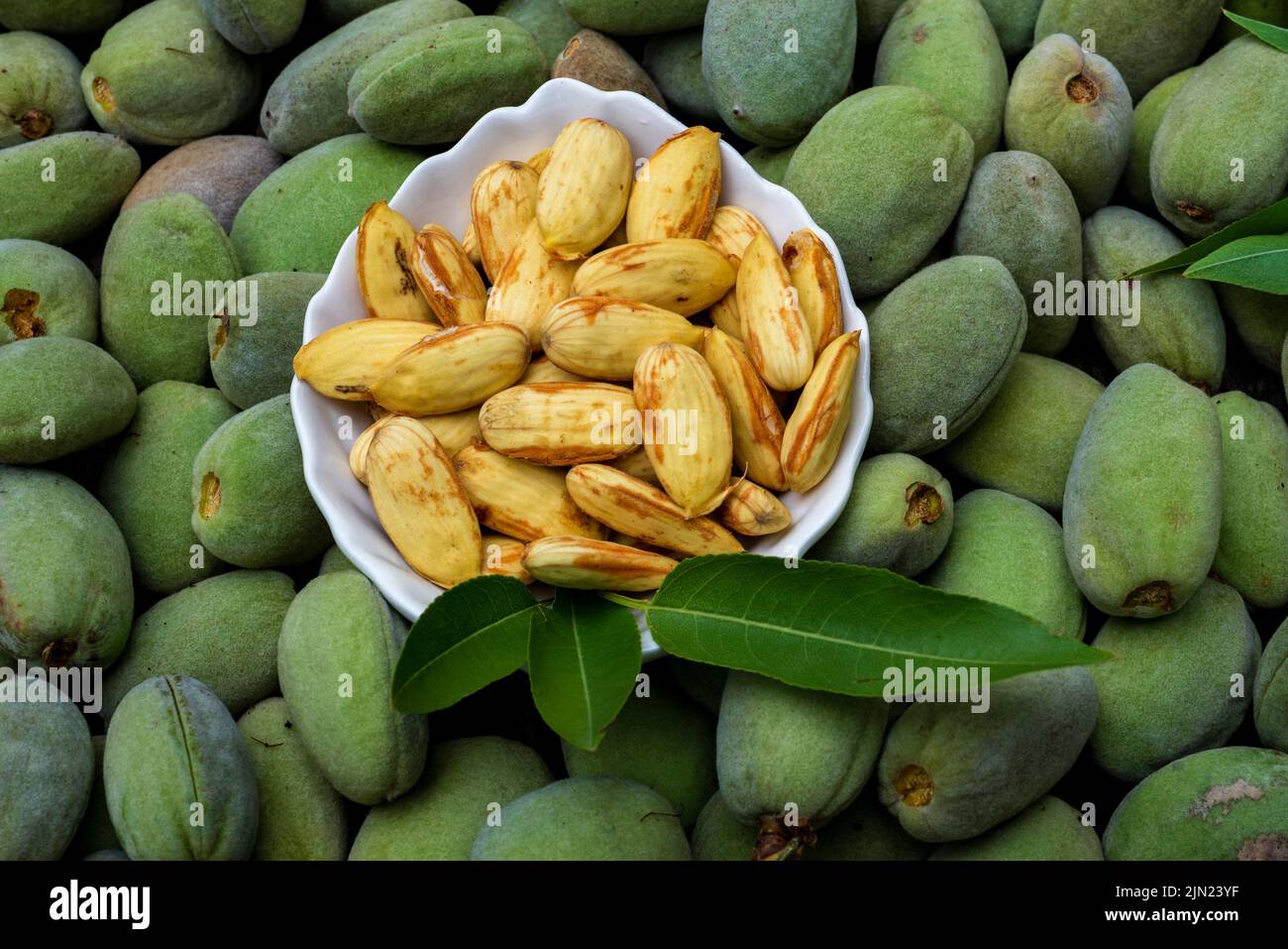 Green almonds background fresh raw unripe wooden rustic table blurred ...