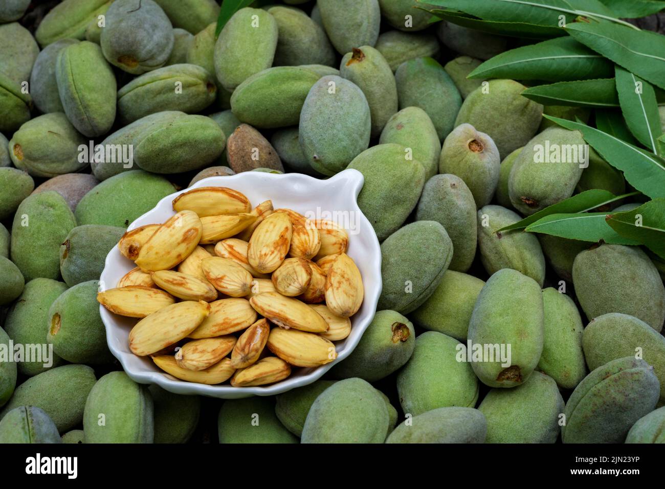 Green almonds background fresh raw unripe wooden rustic table blurred ...