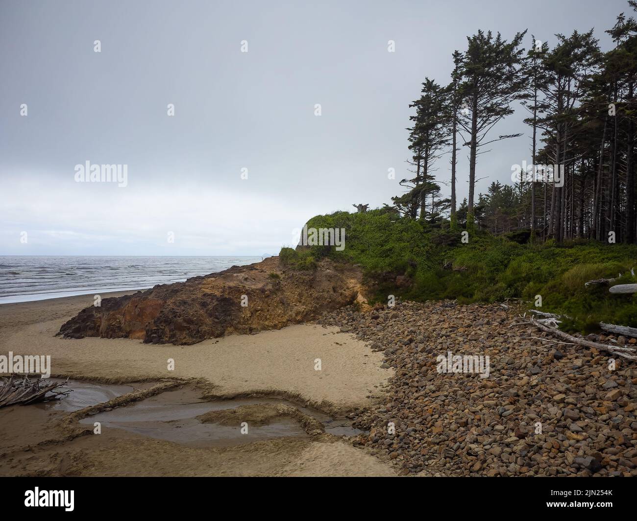 Hilly ocean coast, greenery, pine forest. Gray cloudy sky. Desert place ...