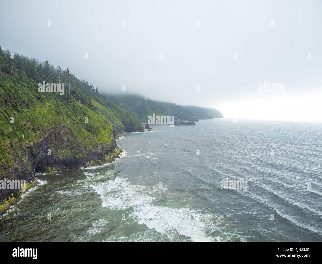 Beautiful seascape. Hilly shore of the ocean, overgrown with green ...