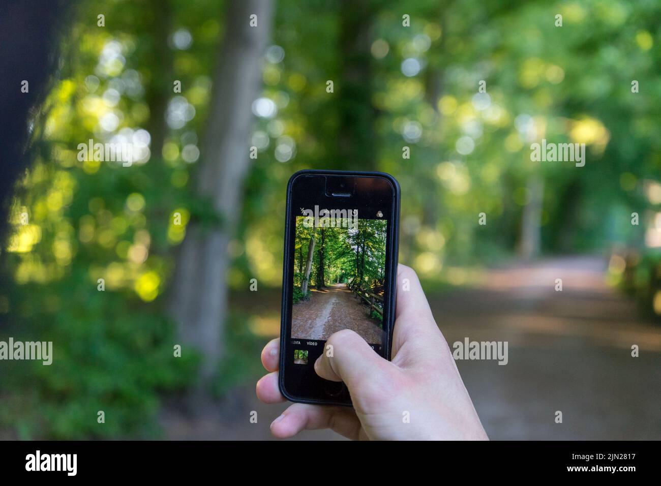 Hand taking photo hi-res stock photography and images - Alamy