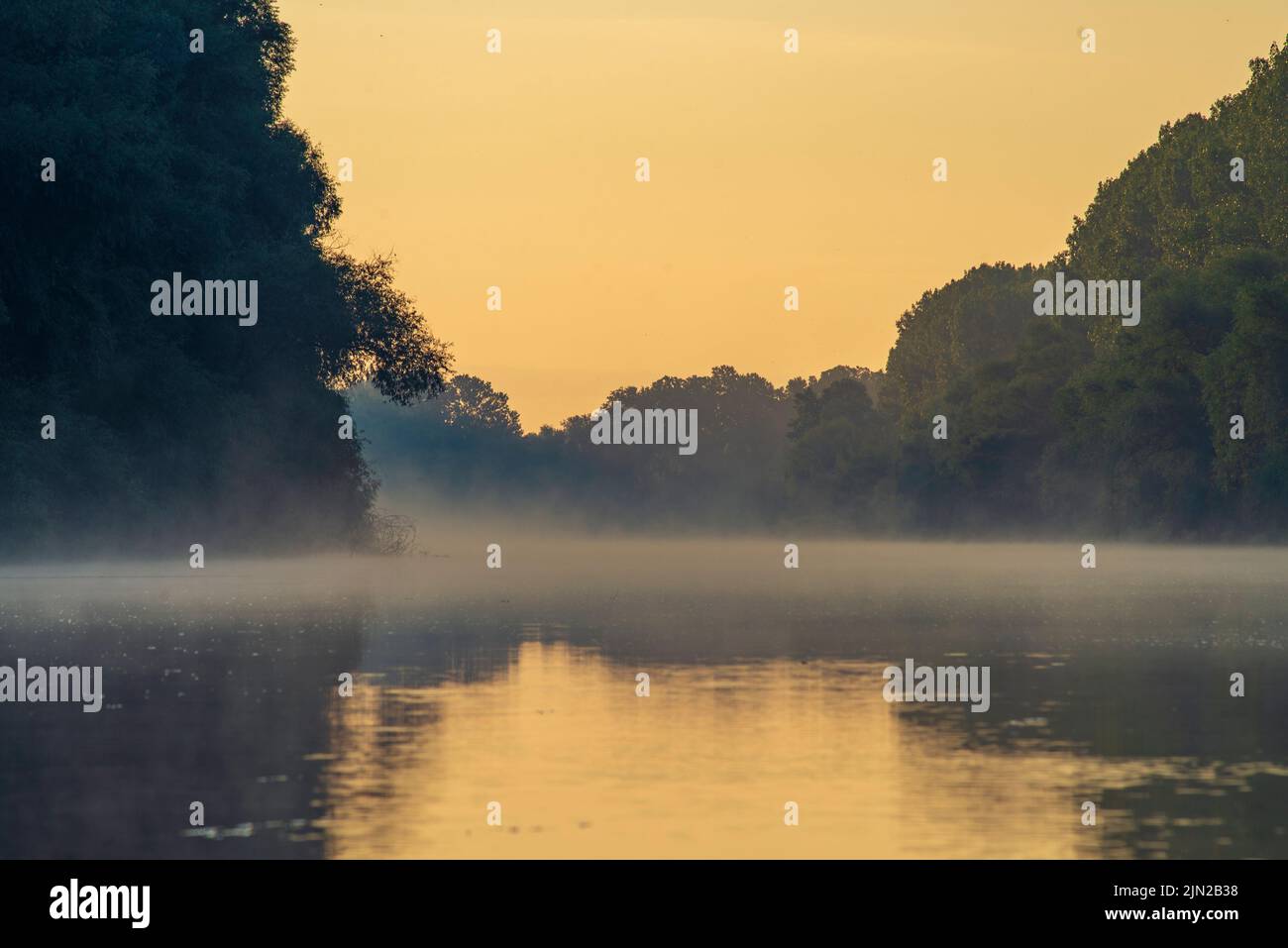 Early morning river. fog trees. sunlight mist water. Olanesti Moldova ...