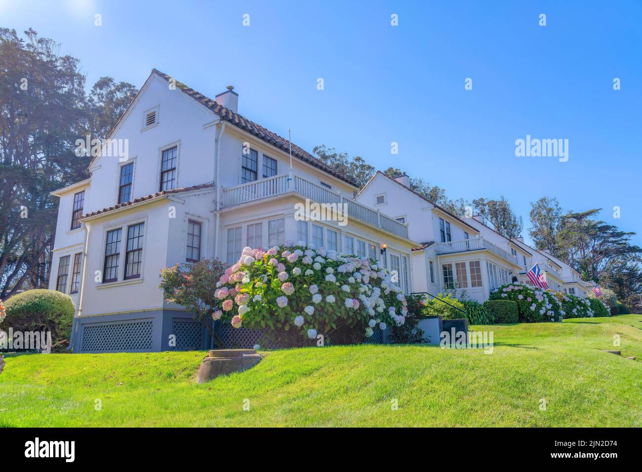 Suburban houses on a sloped green lawn with flowering plants near the ...