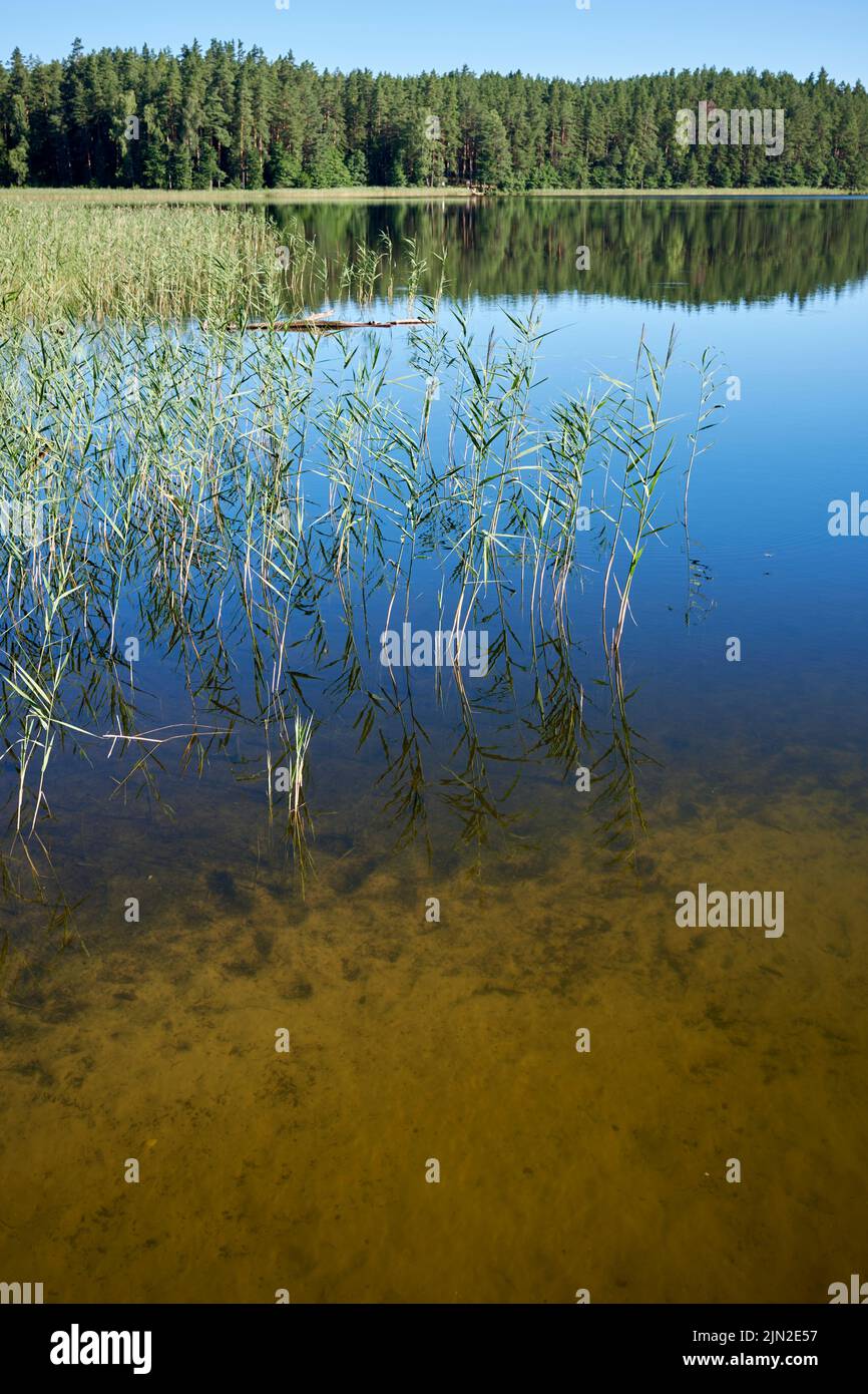 Smiltenes hi-res stock photography and images - Alamy