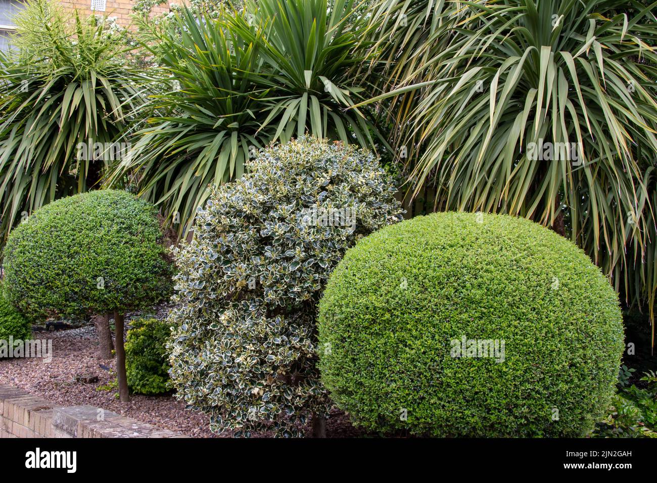 Close up full frame view of a formal manicured landscaped garden of ...