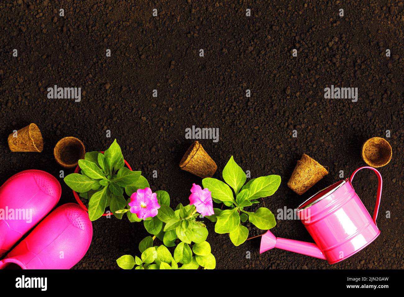 Border summer watering hi-res stock photography and images - Alamy
