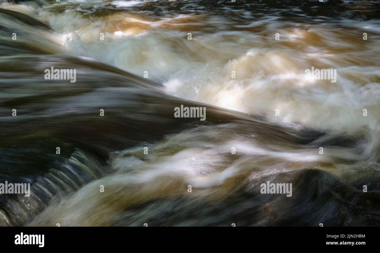 Vizla river hi-res stock photography and images - Alamy