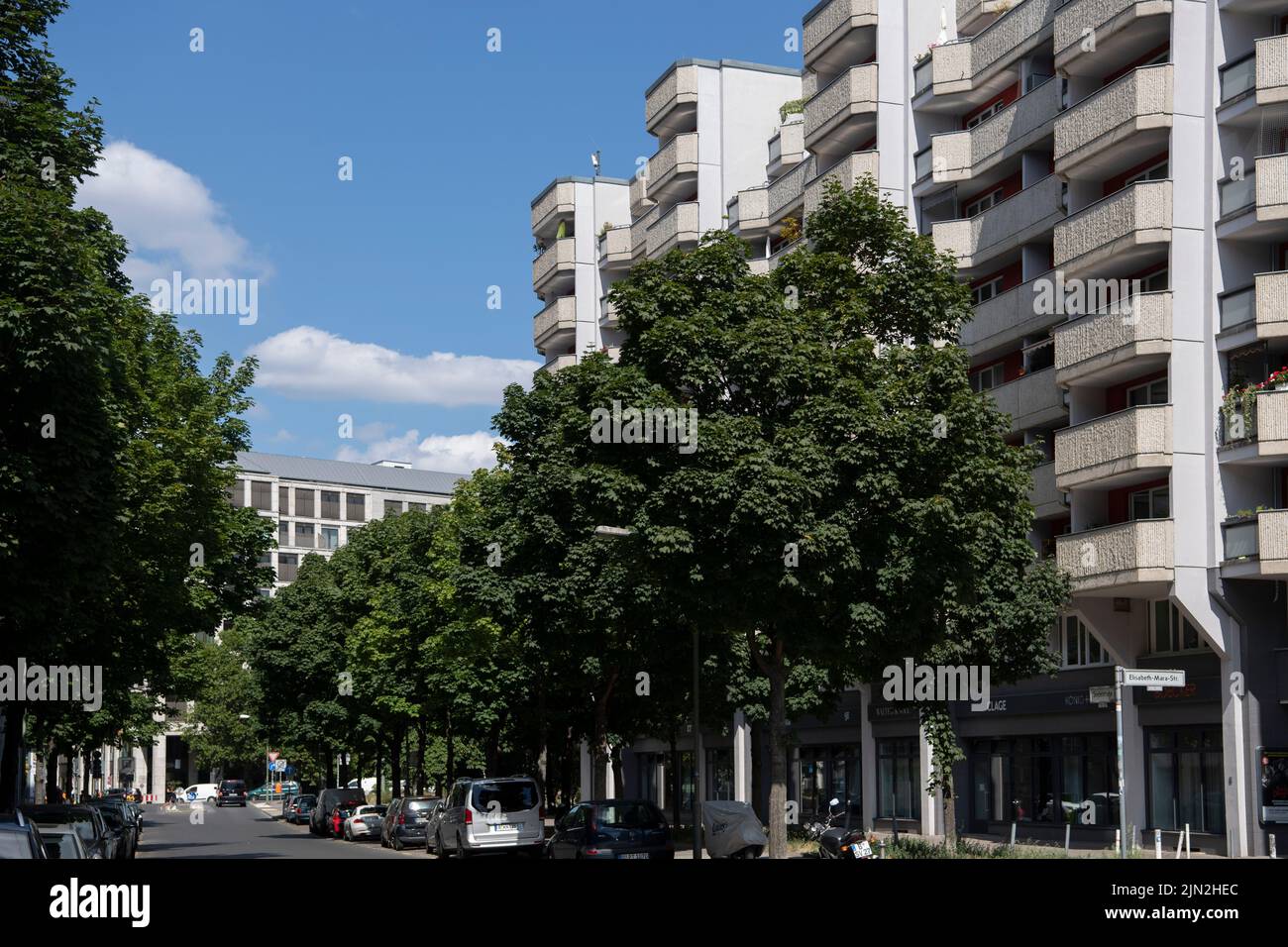 Berlin, Germany. 08th Aug, 2022. Numerous trees stand along a street in ...