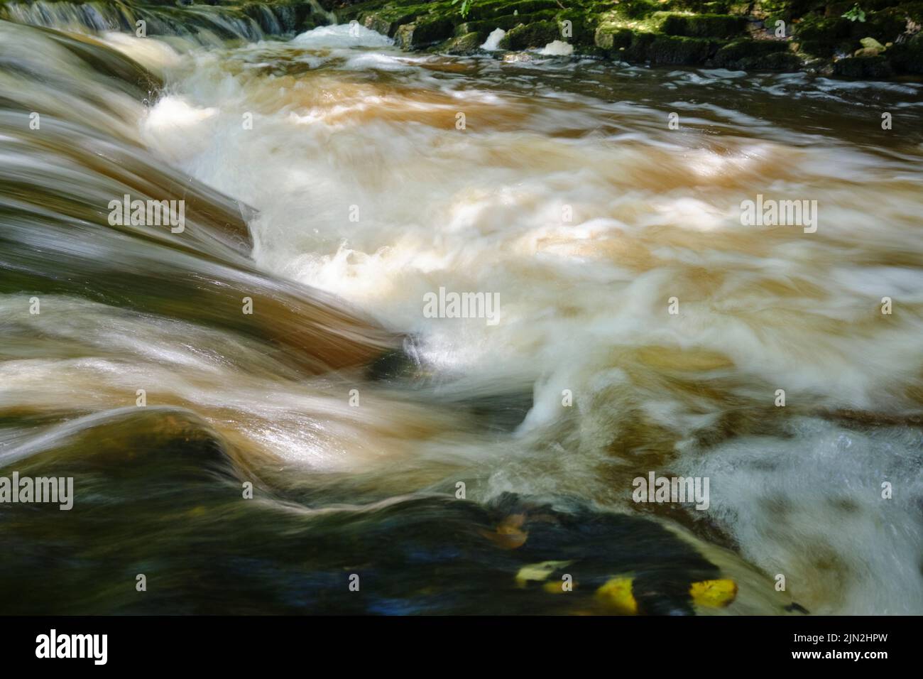 Vizla river hi-res stock photography and images - Alamy
