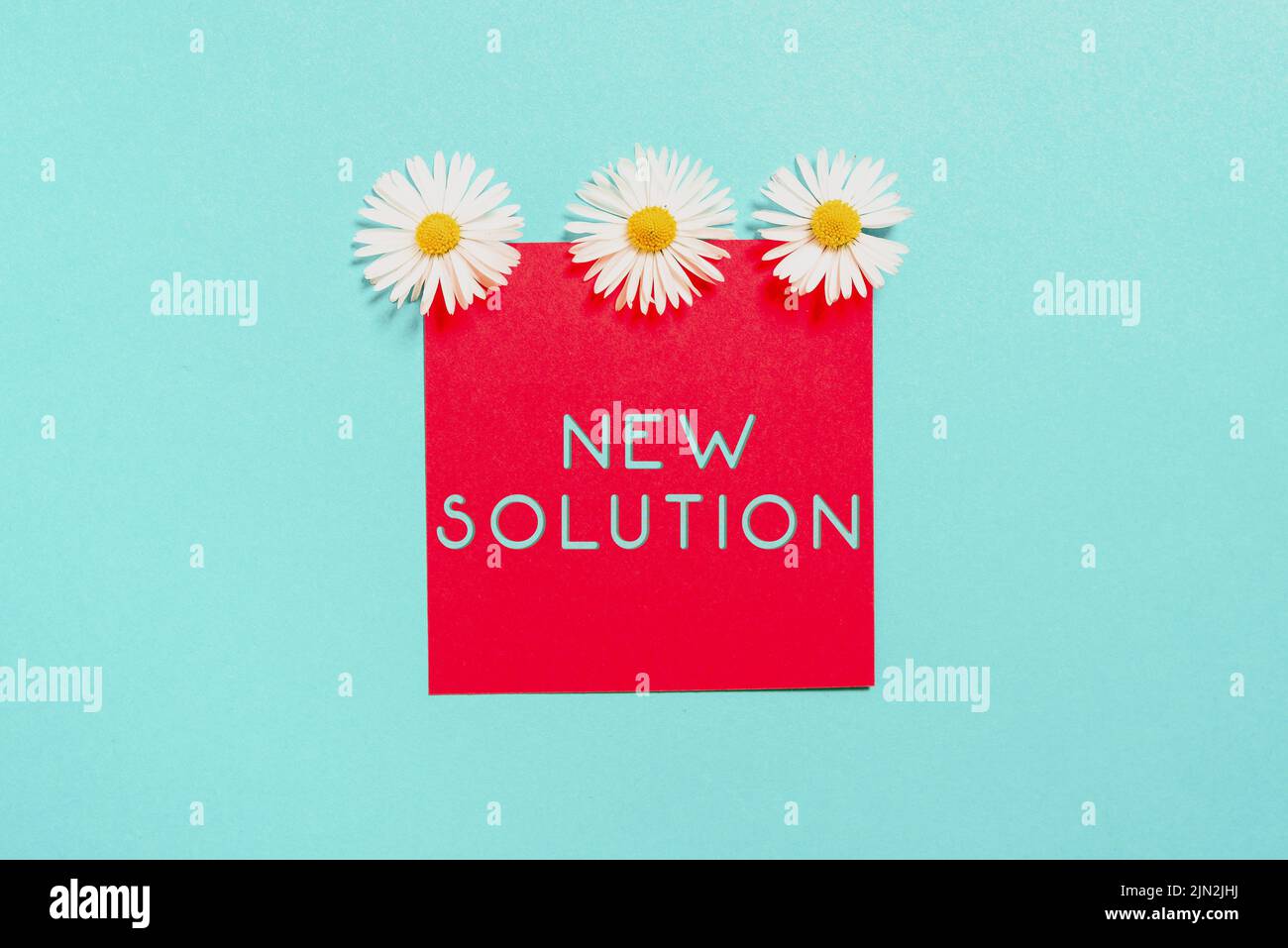 Text showing inspiration New Solution. Business overview Modern ...