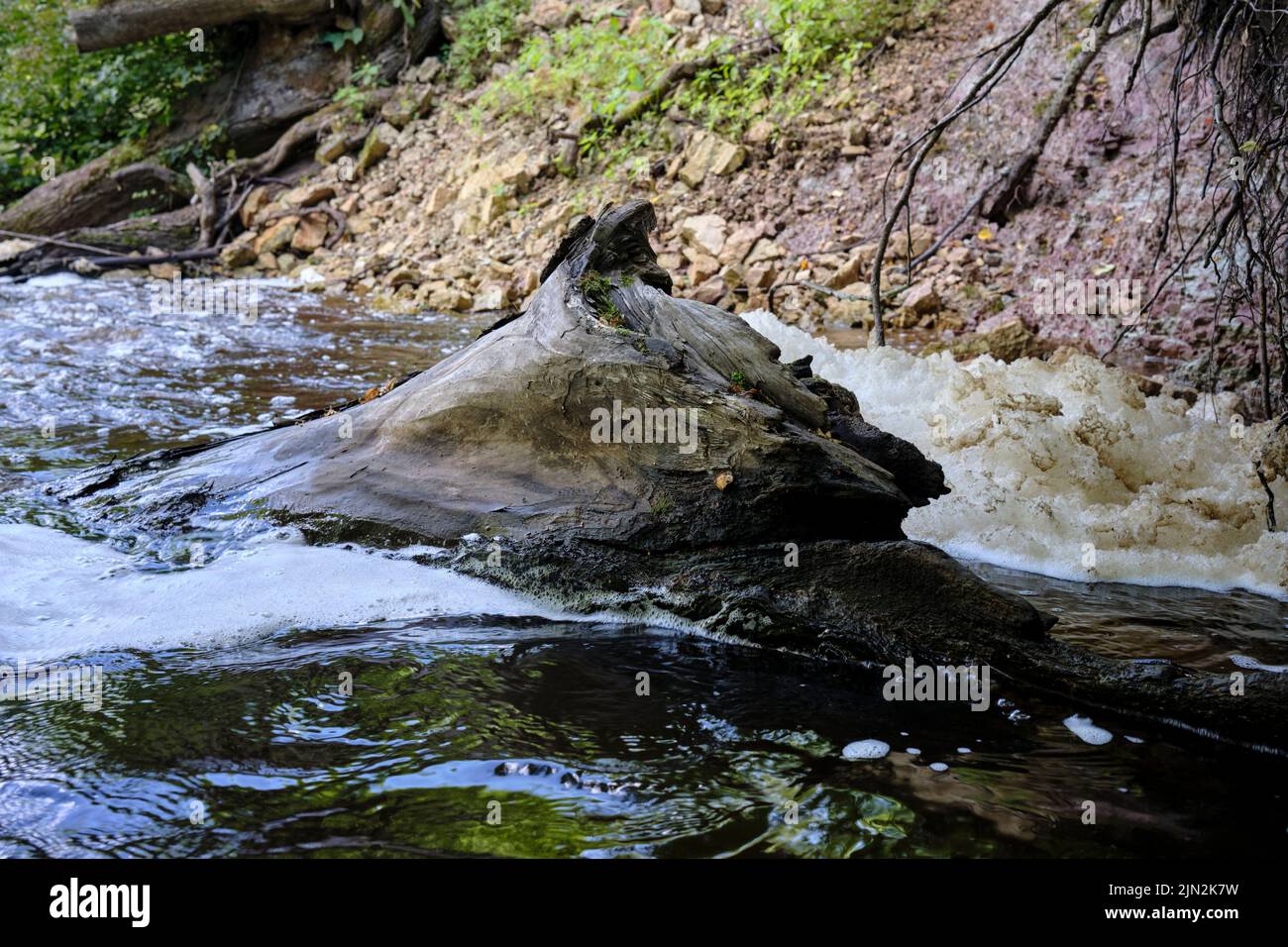 Vizla river hi-res stock photography and images - Alamy