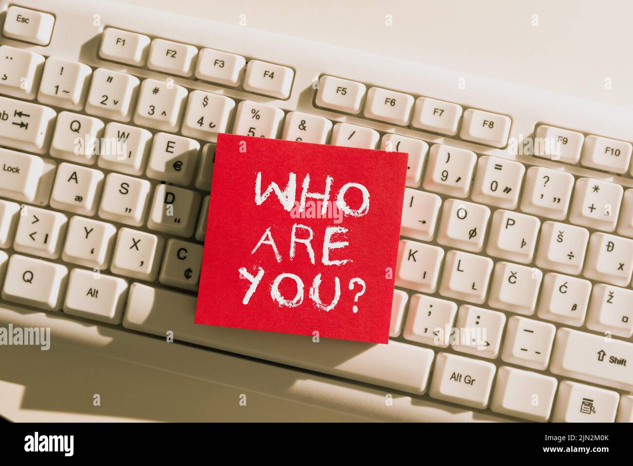 Text showing inspiration Who Are You. Business idea Introduce Identify ... Text showing inspiration Who Are You. Business idea Introduce Identify ...