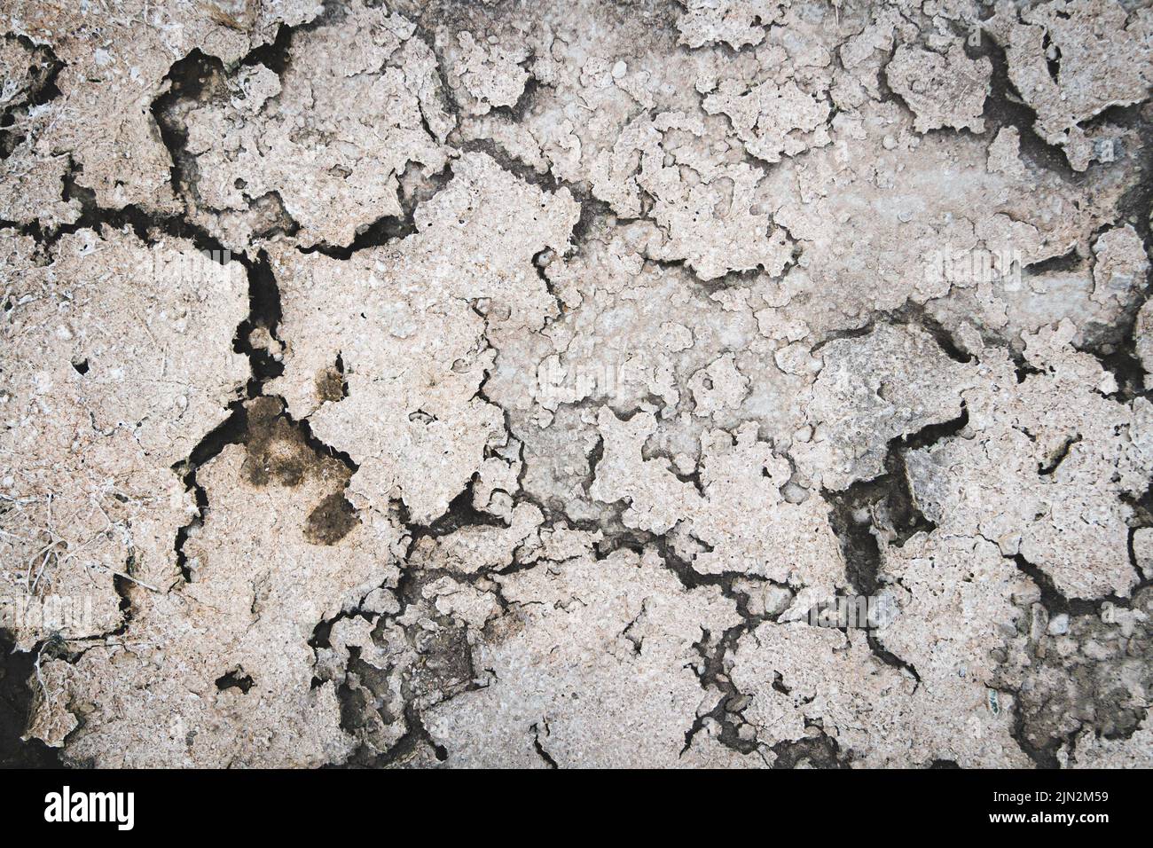 Dried desert land. Cracks in the ground. Dehydrated soil. Deep cracks ...
