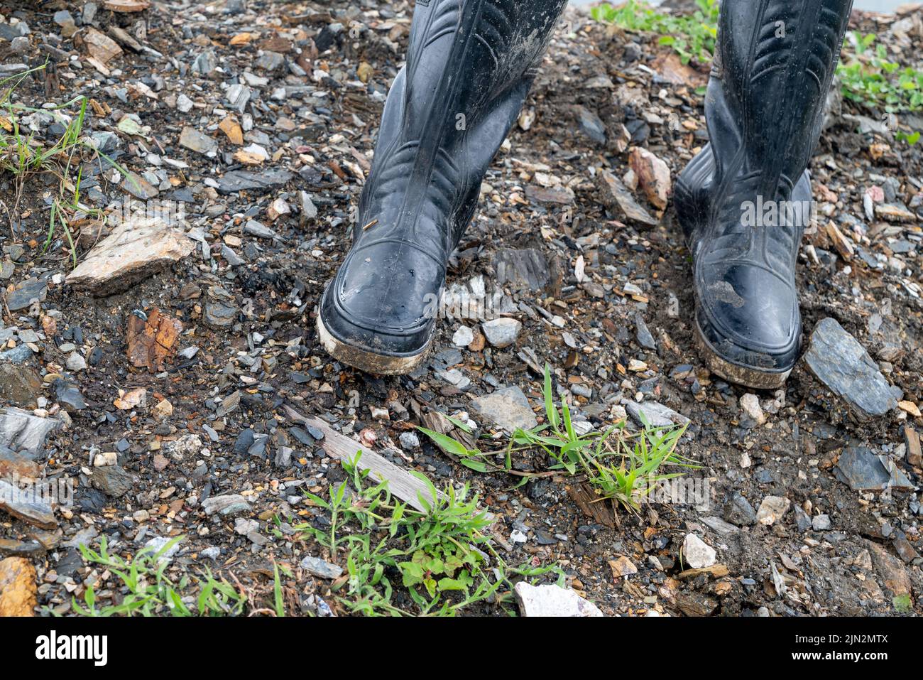 Worker's dusty boots. A labor wearing work boots Stock Photo - Alamy