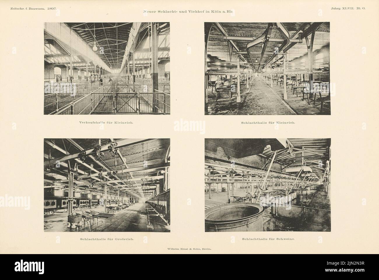 Cattle slaughter hall hi-res stock photography and images - Alamy