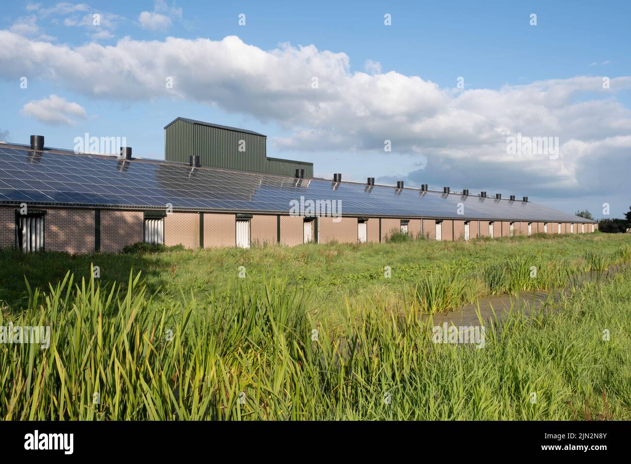 Sustainable agriculture netherlands hi-res stock photography and images ...