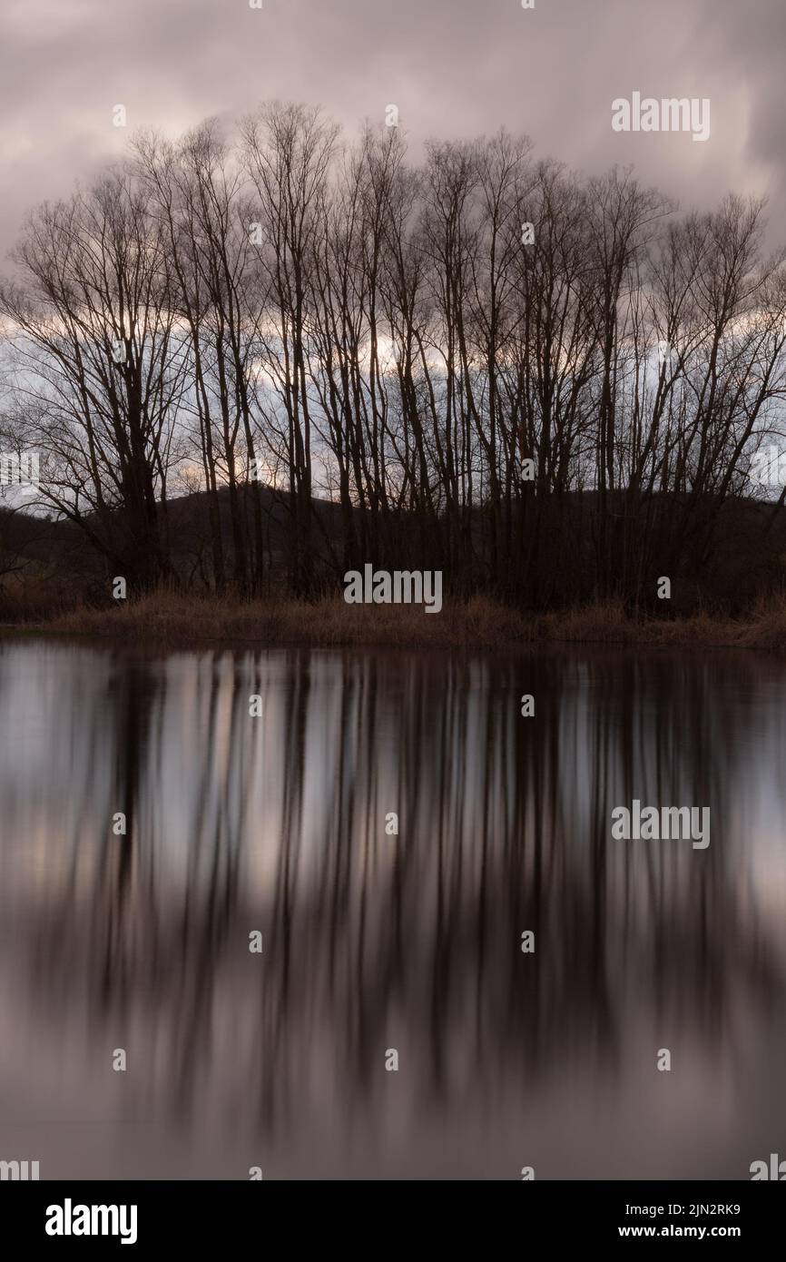 Perfectly symmetric trees reflections on a lake Stock Photo - Alamy