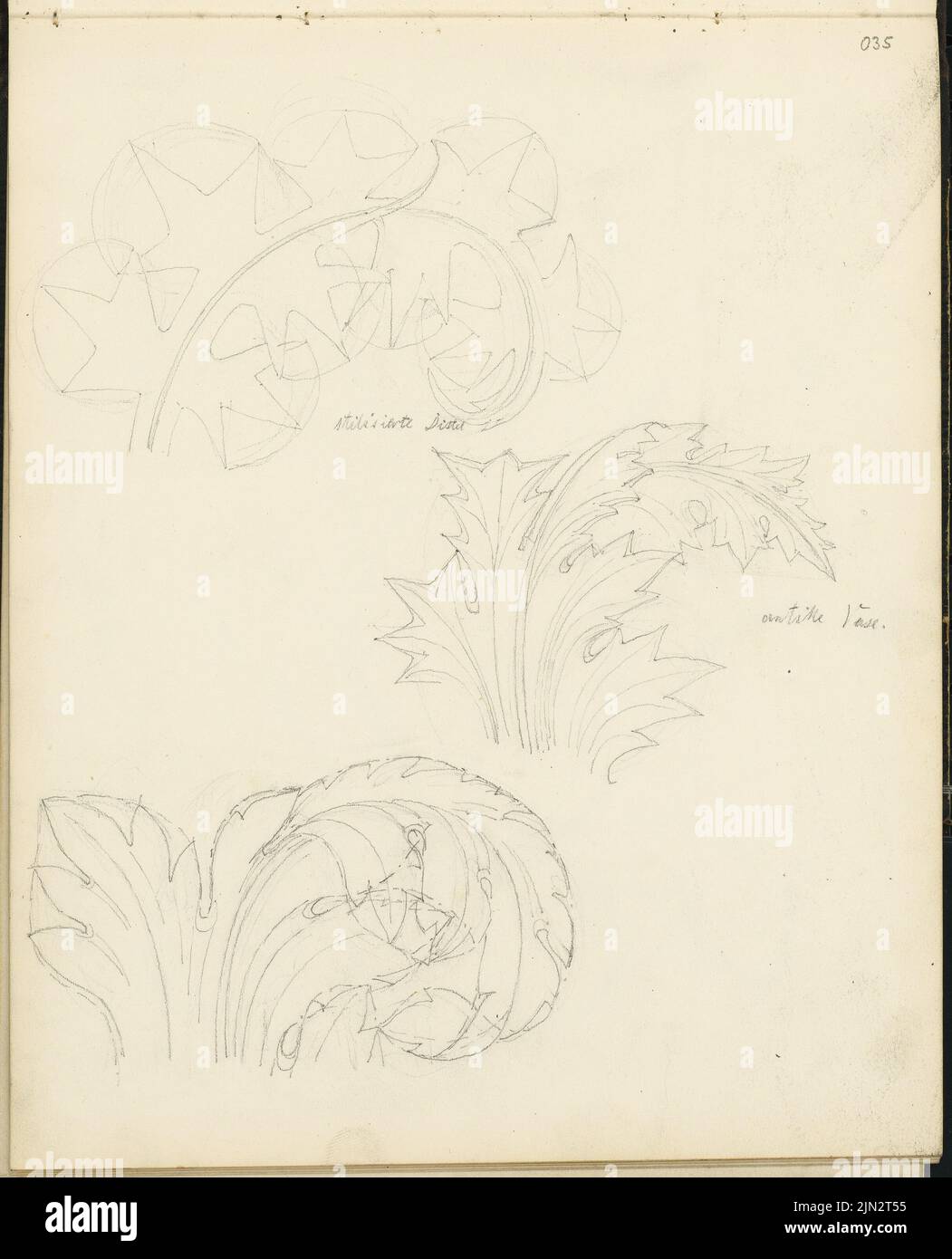 Sketchbook 3: Ornamen studies, stylized thistle, antique vase Stock ...