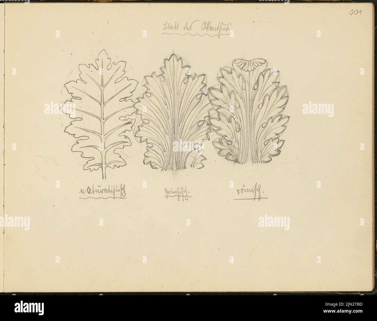 Naturalistic aesthetic hi-res stock photography and images - Alamy