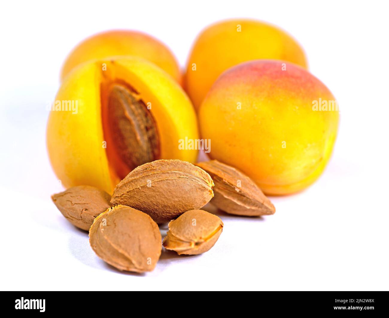 Apricot kernels and apricots against white background Stock Photo - Alamy