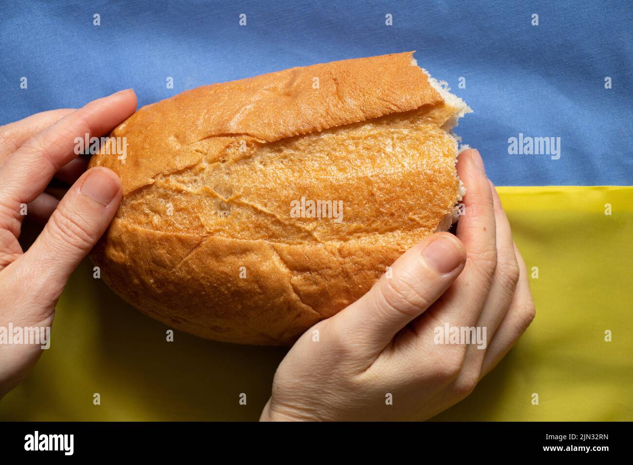 A loaf of bread in the hands of a girl against the background of the ...