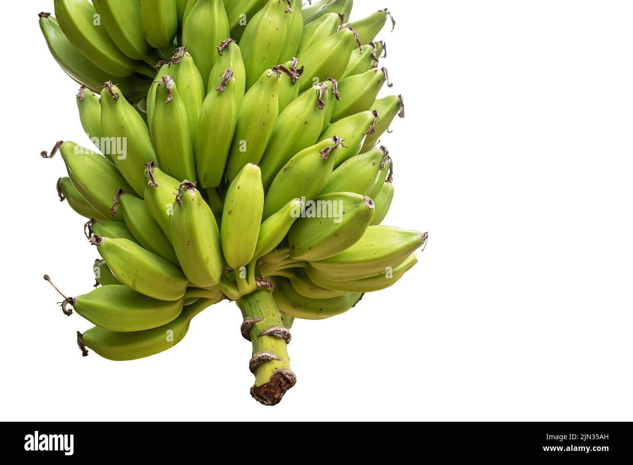 A green bananas on white background. clipping path Stock Photo - Alamy