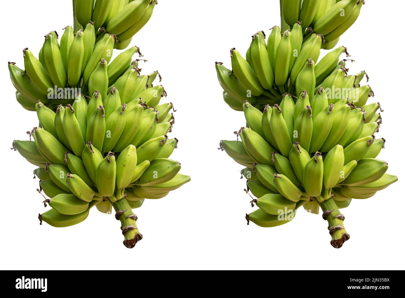 Bunch of green bananas on white background with clipping path Stock ...