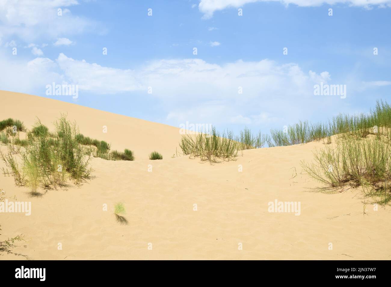 Sarykum dune. Dagestan, Russia. A unique sandy mountain in the Caucasus ...