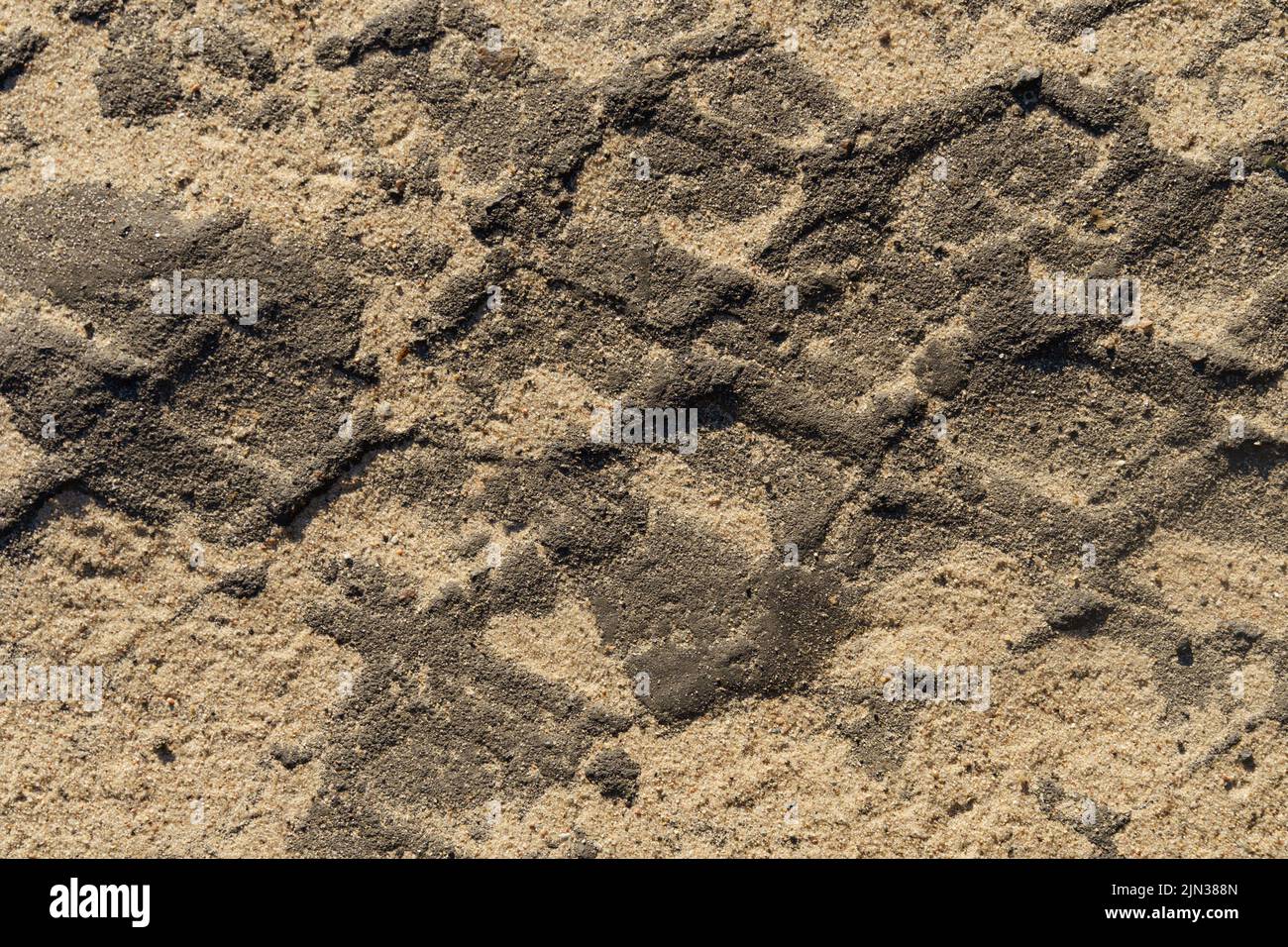 Truck tire tread track on a dirt road. Backgrounds and textures Stock ...