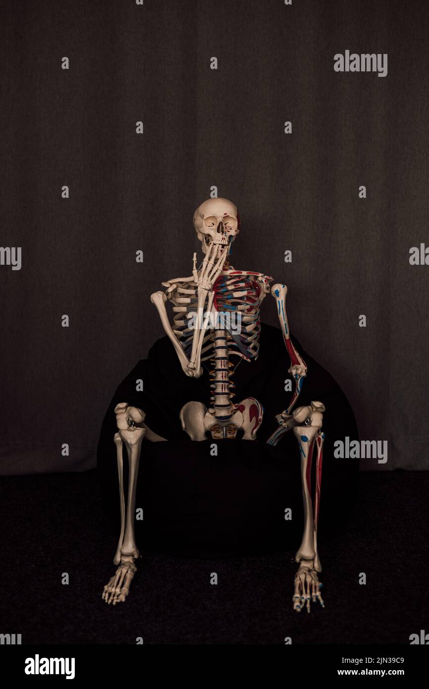 A human skeleton sits on a chair propping up his head with his hand ...