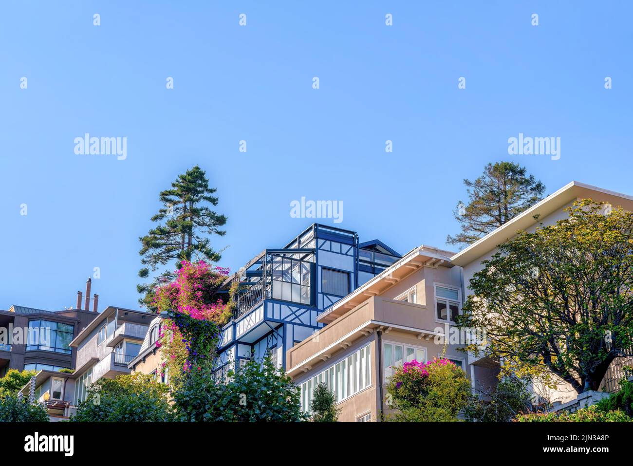 Row of houses surrounded by flowering shrubs and pine trees at San ...