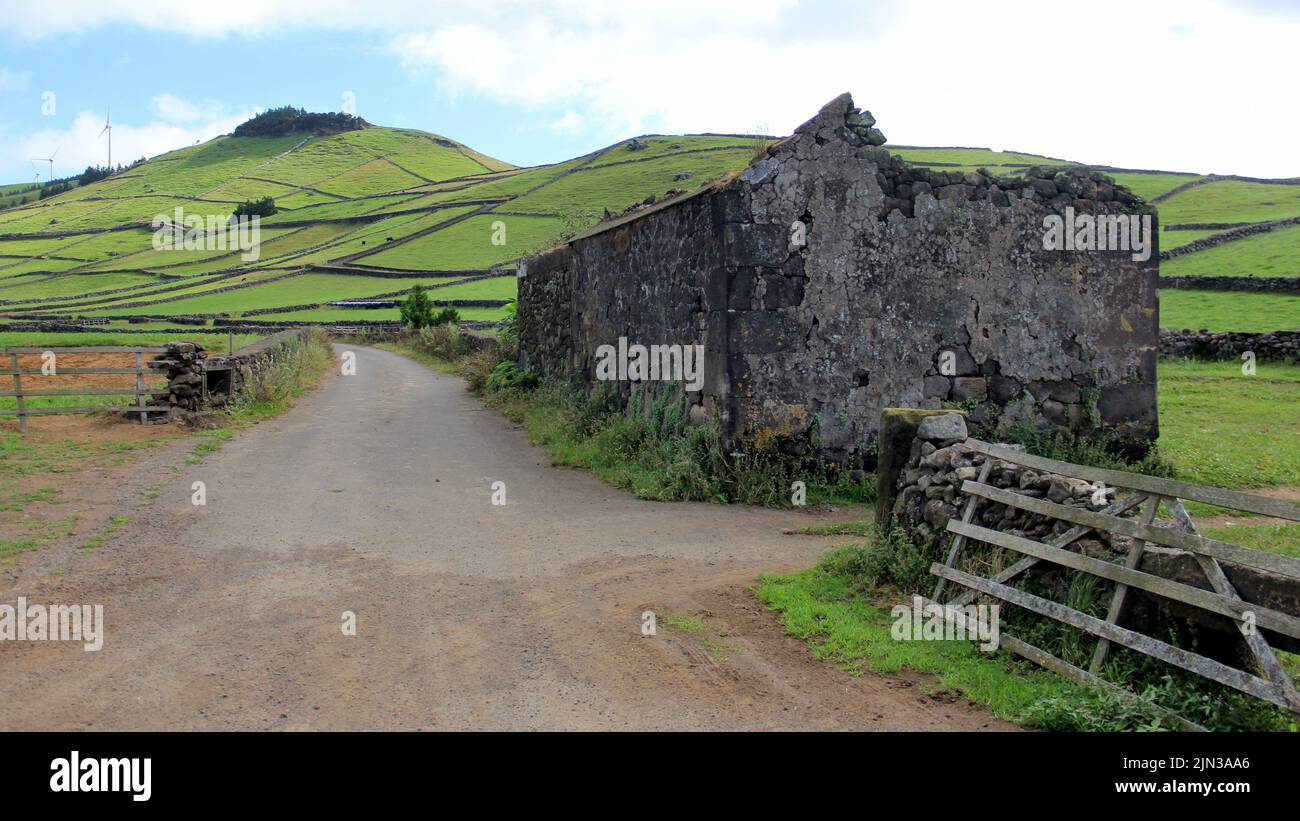 Rural landscape with stone fence and a ruin, on Terceira Island, Azores ...