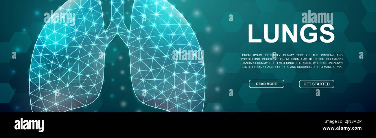 Lungs 3d low poly symbol for head promotion banner. Respiratory system ...