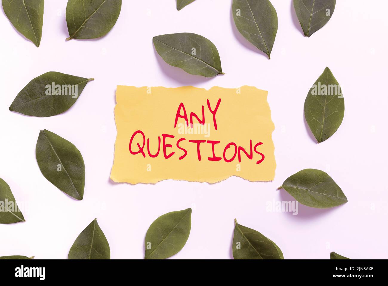 Conceptual display Any Questions. Business overview Clueless Blank face ...