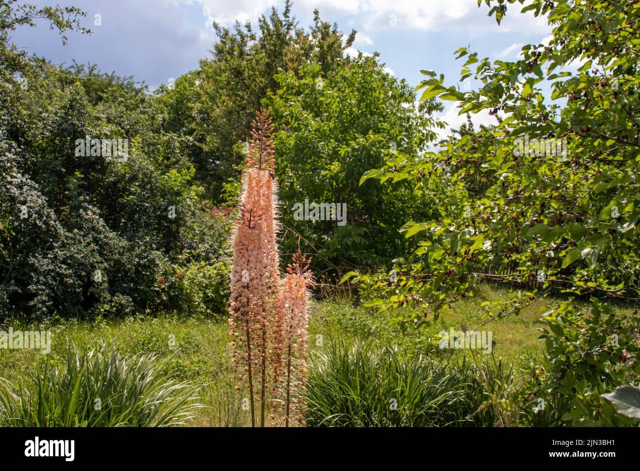 Shelford autumn hi-res stock photography and images - Alamy