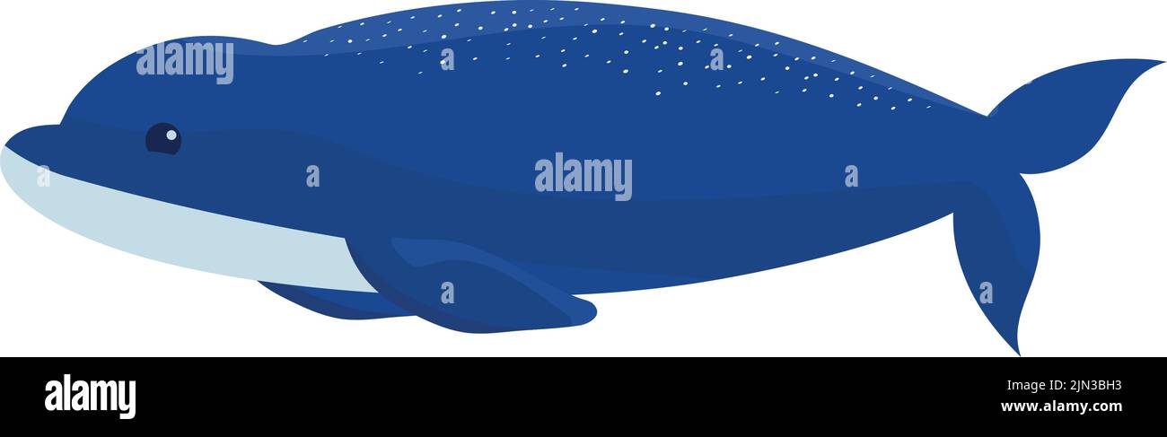 cute whale design Stock Vector Image & Art - Alamy