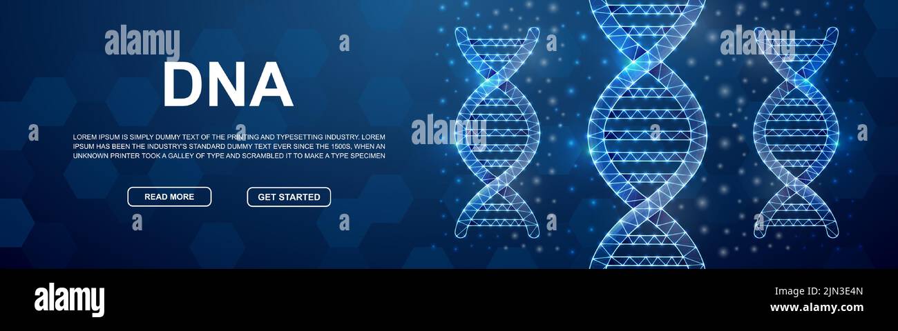 DNA spiral polygonal horizontal banner. Science low poly symbol for ...