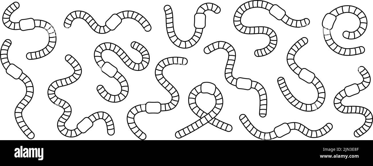 Curled earthworms outline set. Terrestrial worms line banner ...