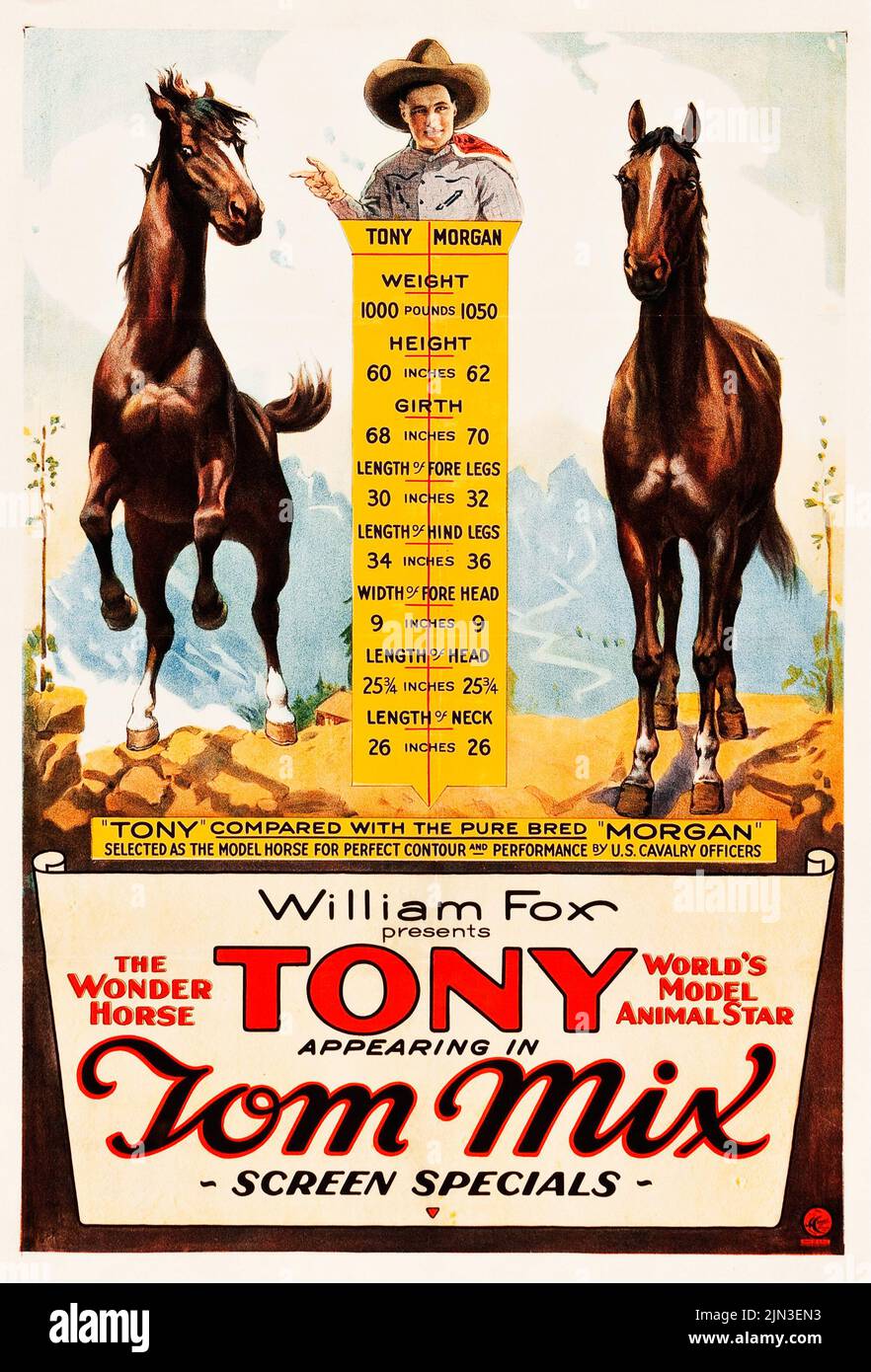 Tony the wonder hi-res stock photography and images - Alamy