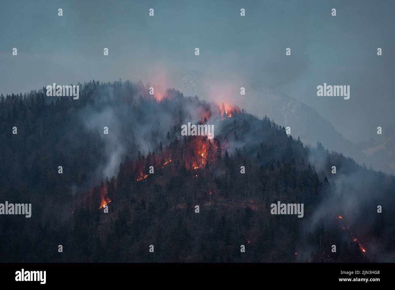 Forest wildfire at dusk a natural disaster Stock Photo - Alamy