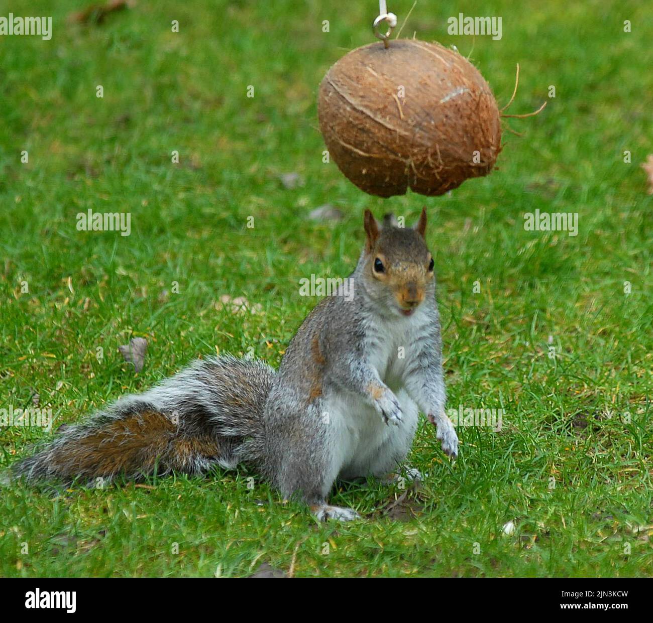 Big ones, small ones, some as big as your head. These two comical ...
